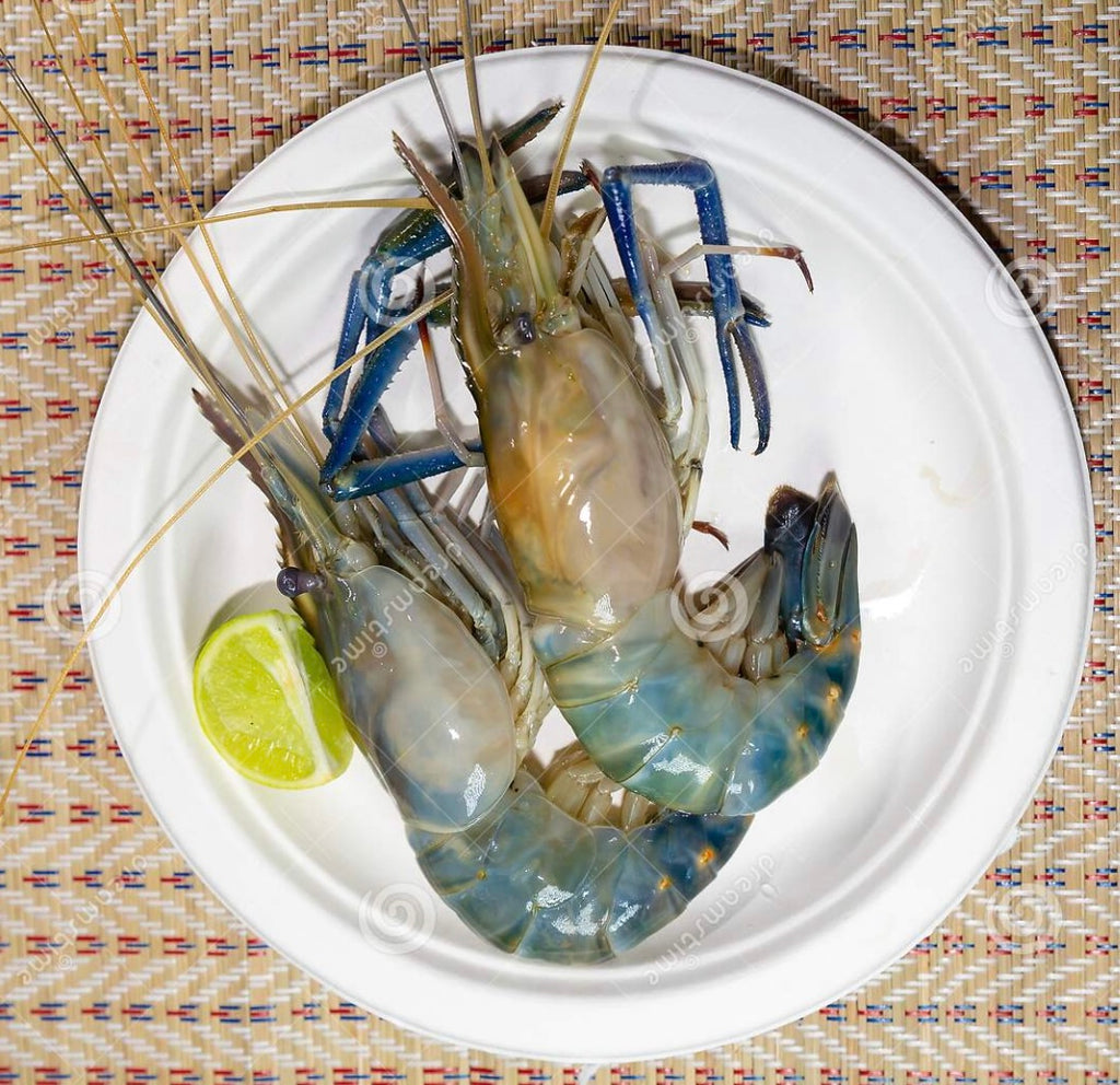 Lagoon Prawns Large 3 - 6(1KG) – bringmaalu.lk