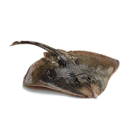 Fresh Maduwa - Skate fish (1kg) – bringmaalu.lk
